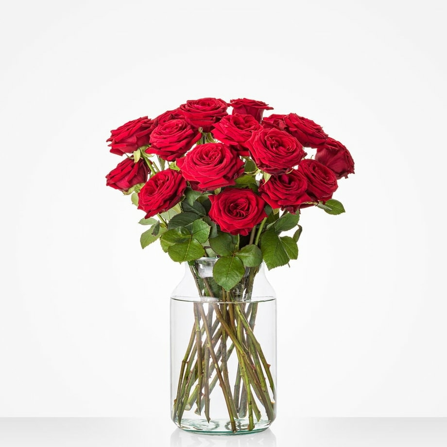 Rode rozen - GroenRijk Zevenaar | Tuincentrum, bloemist, dierenwinkel ...